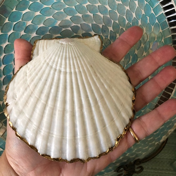 Other | Large Hand Painted Flat Clam Shell | Poshmark